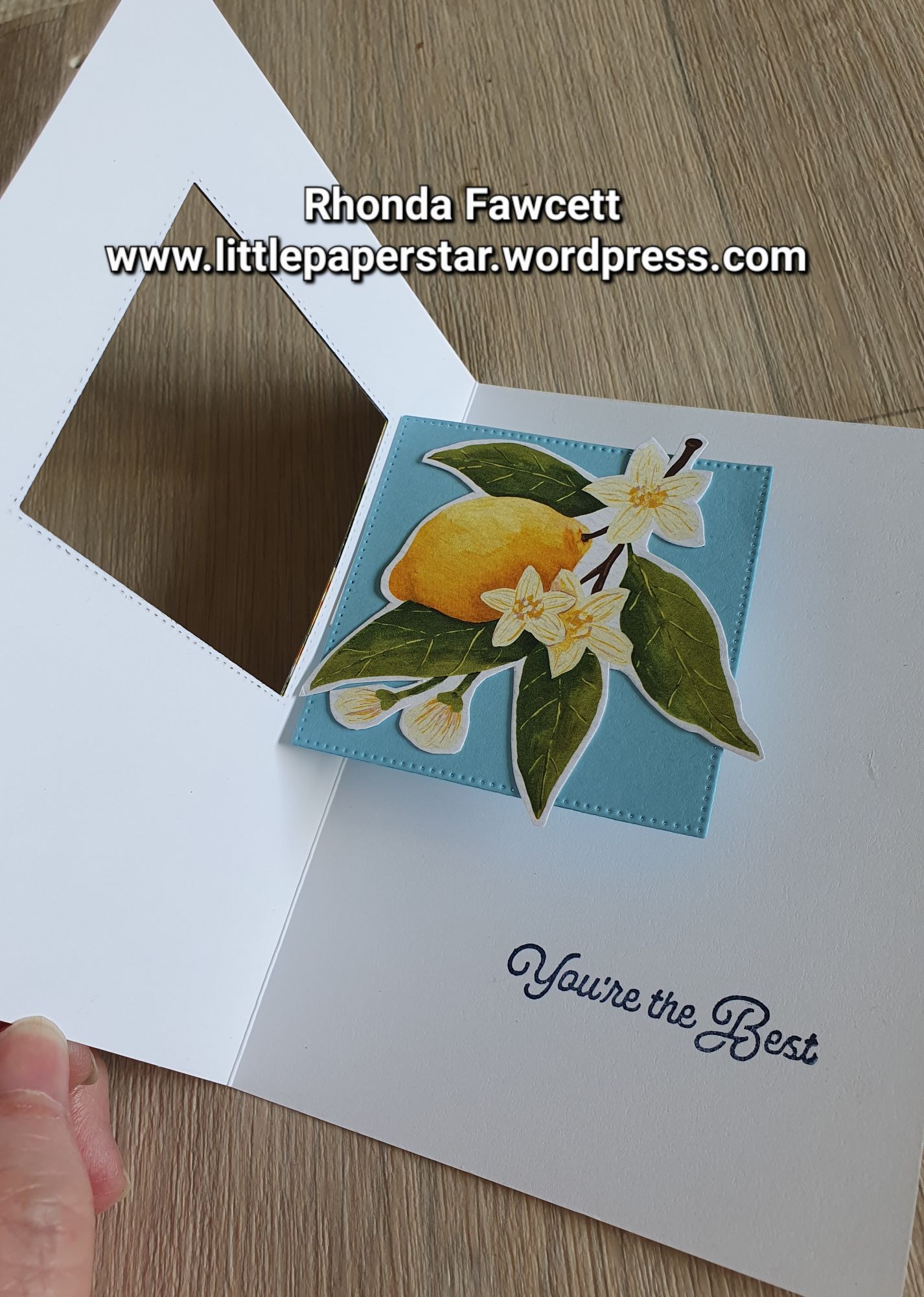 Window card with pop up inside. | Little Paper Star – Rhonda Fawcett