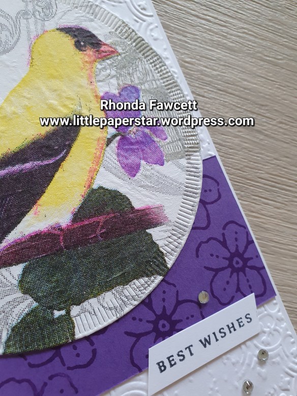 Little Paper Star – Rhonda Fawcett | Sharing my love of all things ...